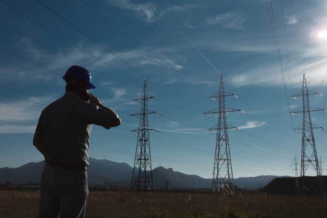 Cel Fi | Electric Bug